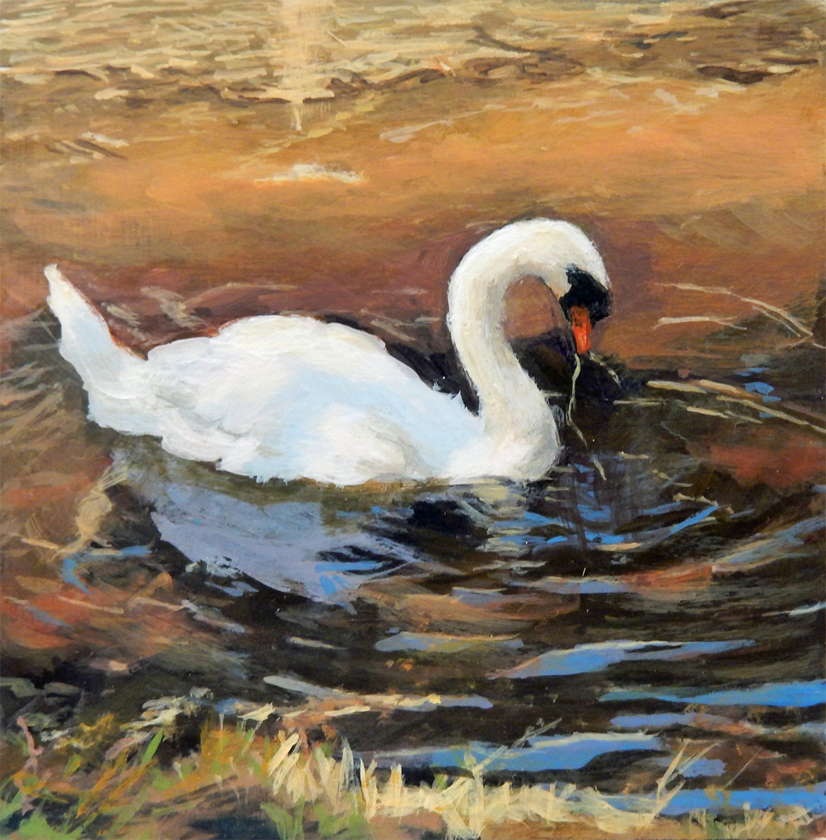 Swan – Ruth Stanton