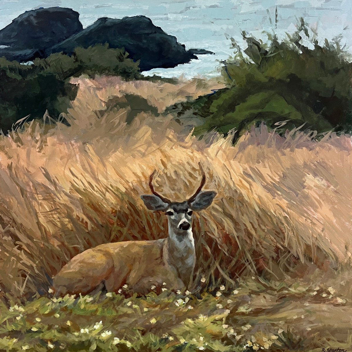 Lone Buck – Ruth Stanton